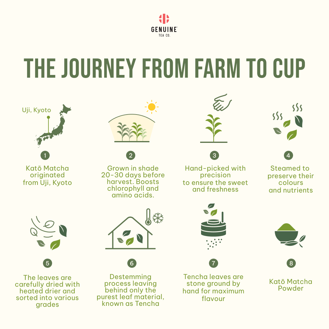 So all of your matcha is ceremonial grade?