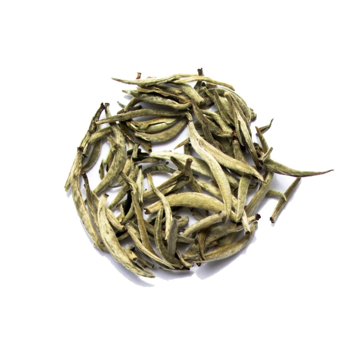 Silver Needle - White Tea – Genuine Tea